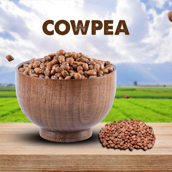Cowpea / Thatapayiru 500g – Ueir Organic Foods